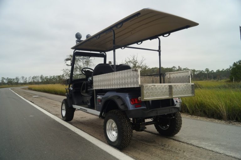 MotoEV Electro Neighborhood Buddy 2 Passenger Utility Deluxe Highriser ...